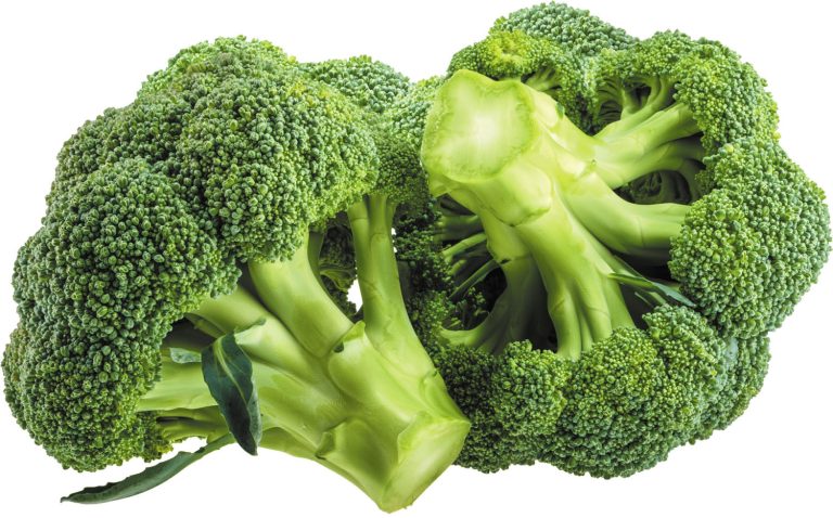 Top 10 Brain-boosting Foods That Help In Improving Memory